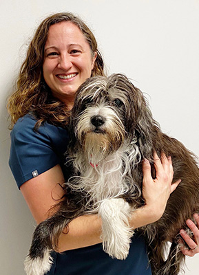 Animal Surgery in Maple Valley, WA | The Animal Surgical & Dental Clinic